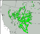 Watching the World Wake Up: Juniper, Martinis, and the Parallel ...